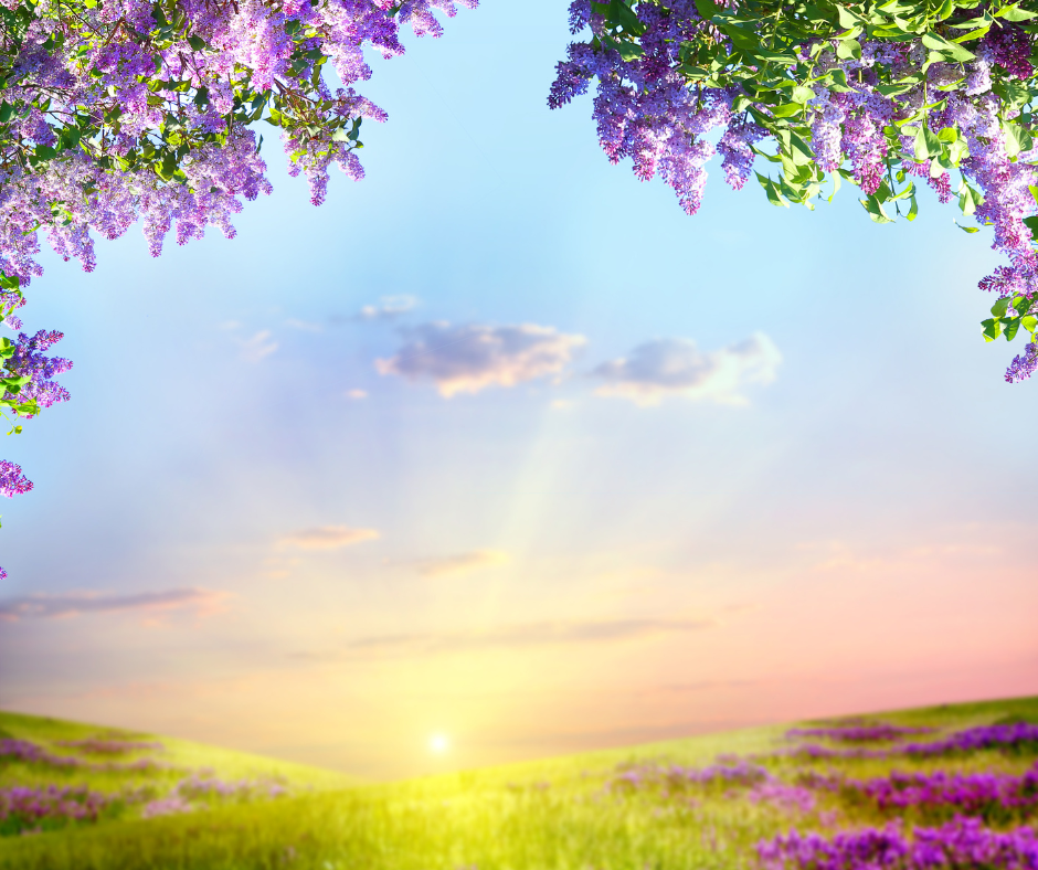 Equinócio de Primavera. Você já se perguntou por que as ...