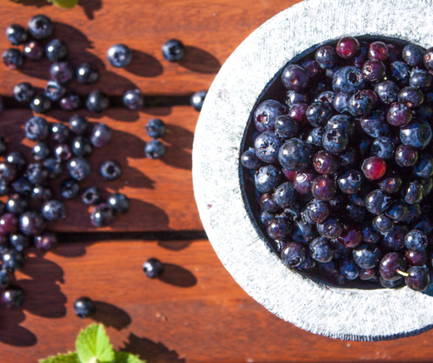 blueberry, Uma Pequena Fruta, Grandes Benefícios.